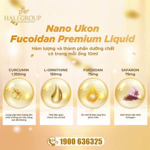 Nước Nghệ Ukon Premium Liquid Eikenbi - Nano Ukon Fucoidan
